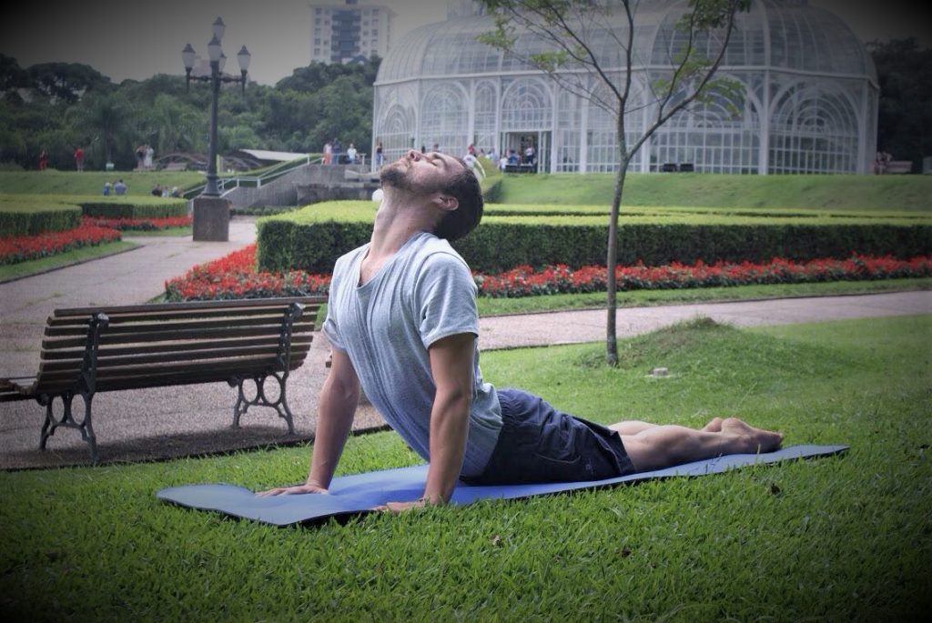 Cobra – Bhujangasana – Animalia Asana – the animal element in yoga